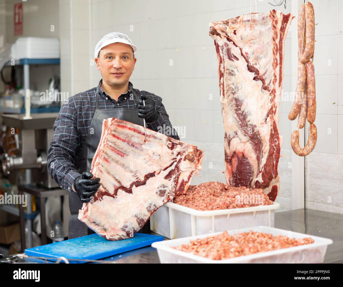 Diligent male butcher showing big piece of beef ribs in meat section of ...