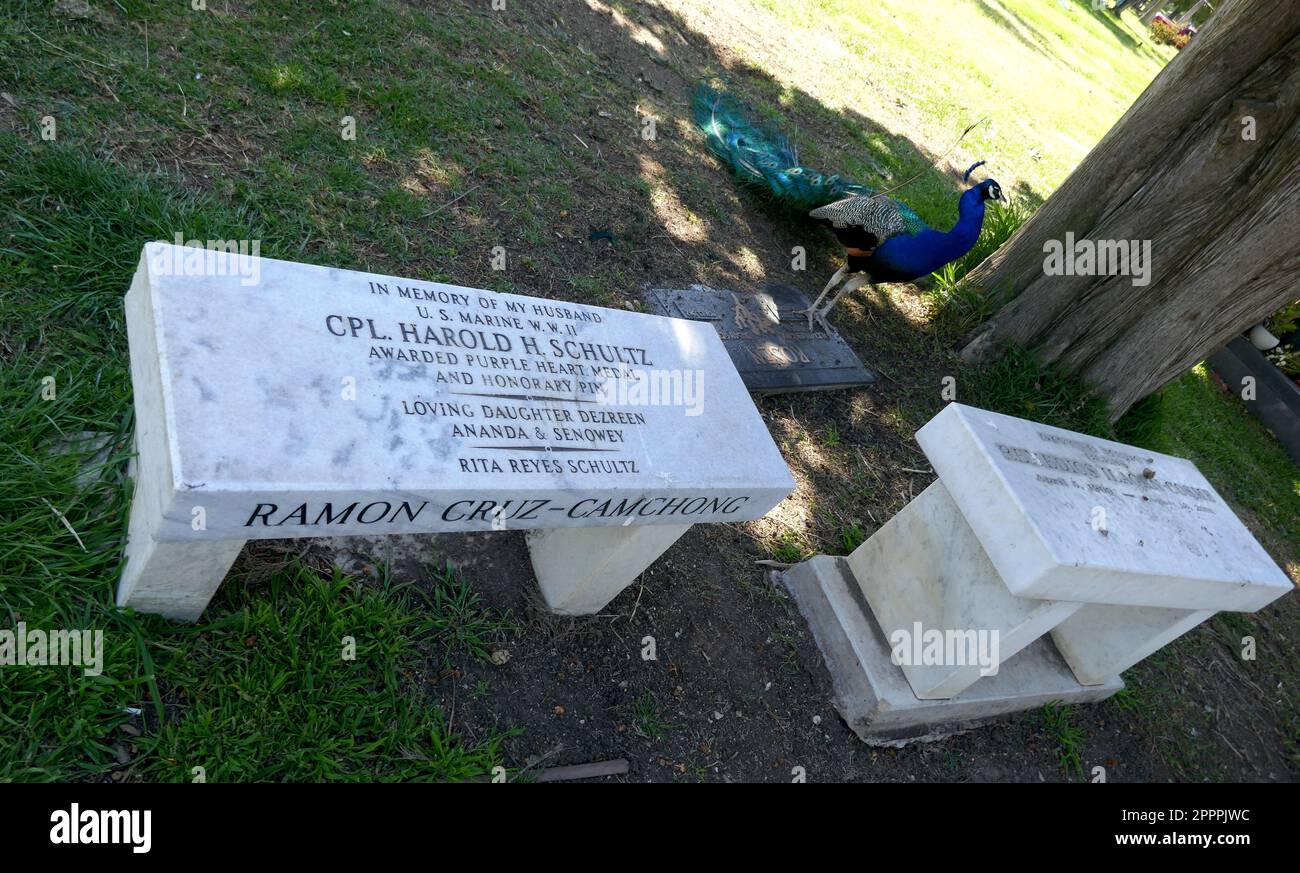 Los Angeles, California, USA 20th April 2023 A Peacock and Harold Henry ...