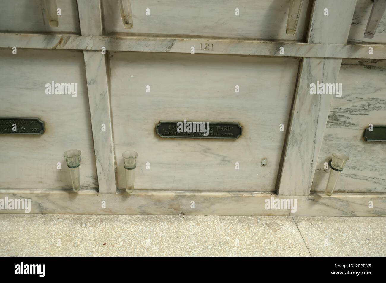 Carrie clarke ward hi-res stock photography and images - Alamy