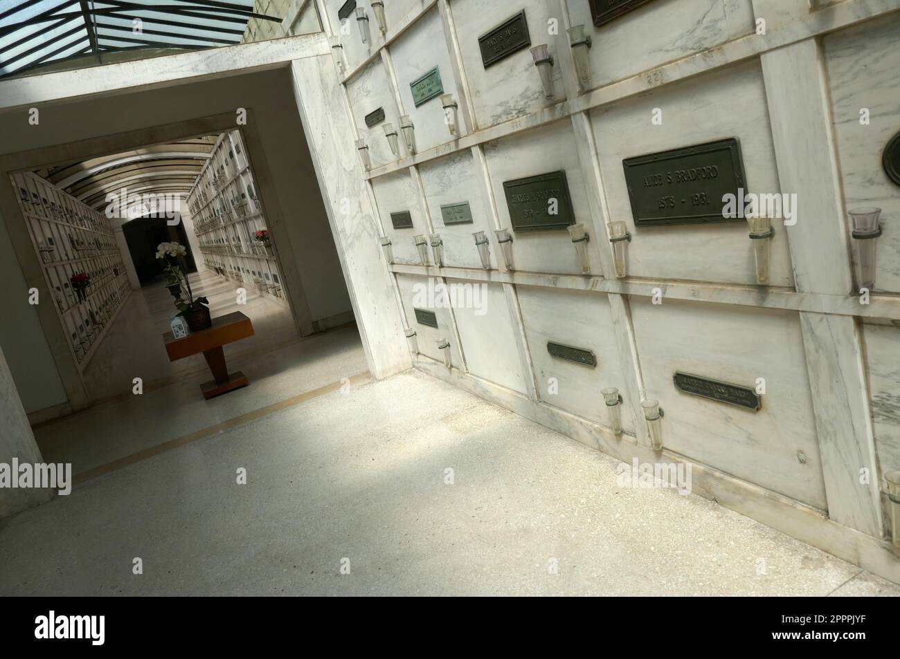 Carrie clarke ward hi-res stock photography and images - Alamy