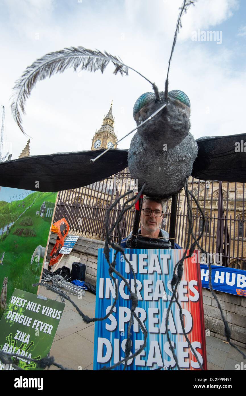 Mosquito round final hi-res stock photography and images - Alamy