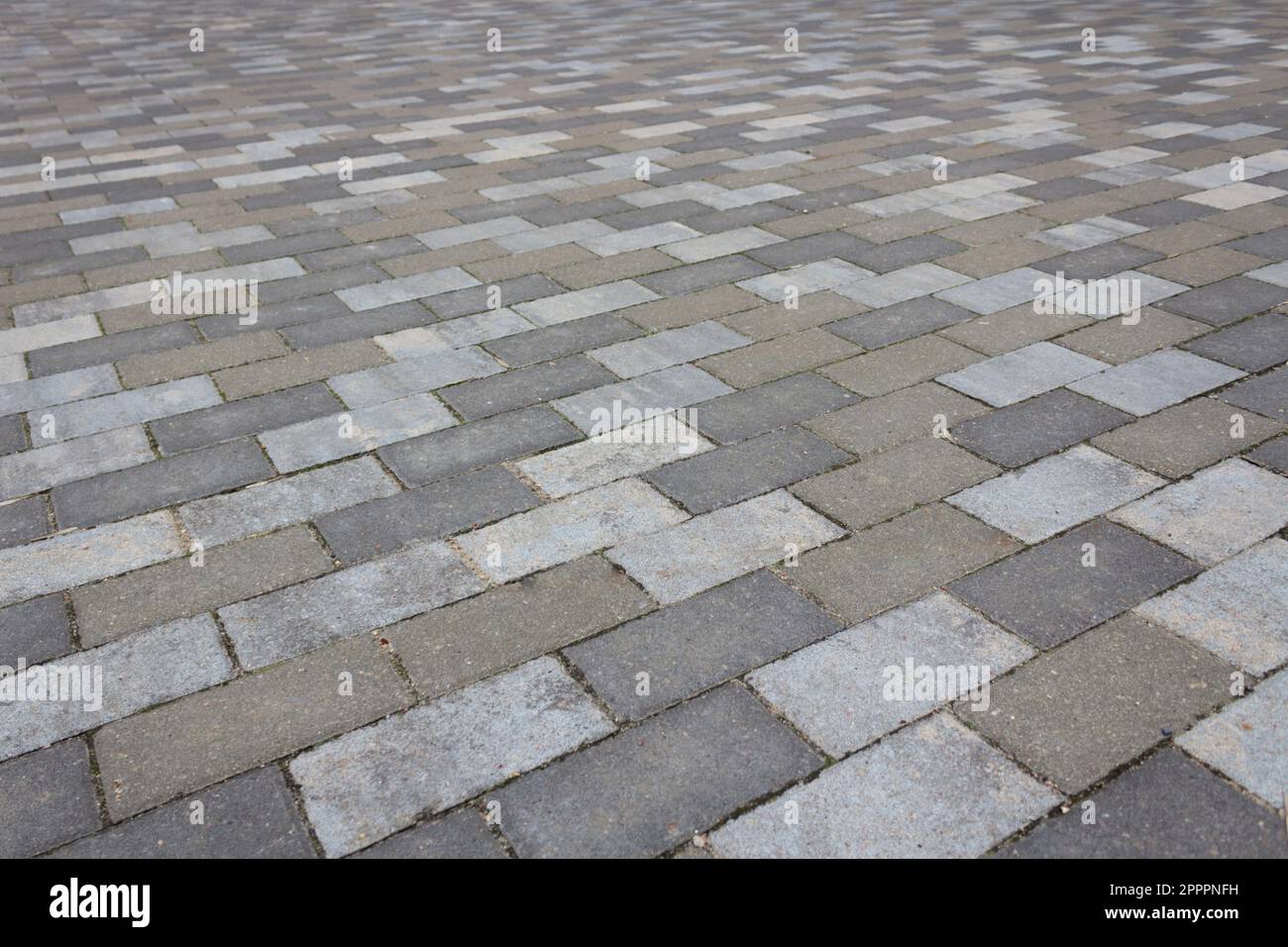 Sidewalk gray rectangular concrete tiles as a background Stock Photo ...