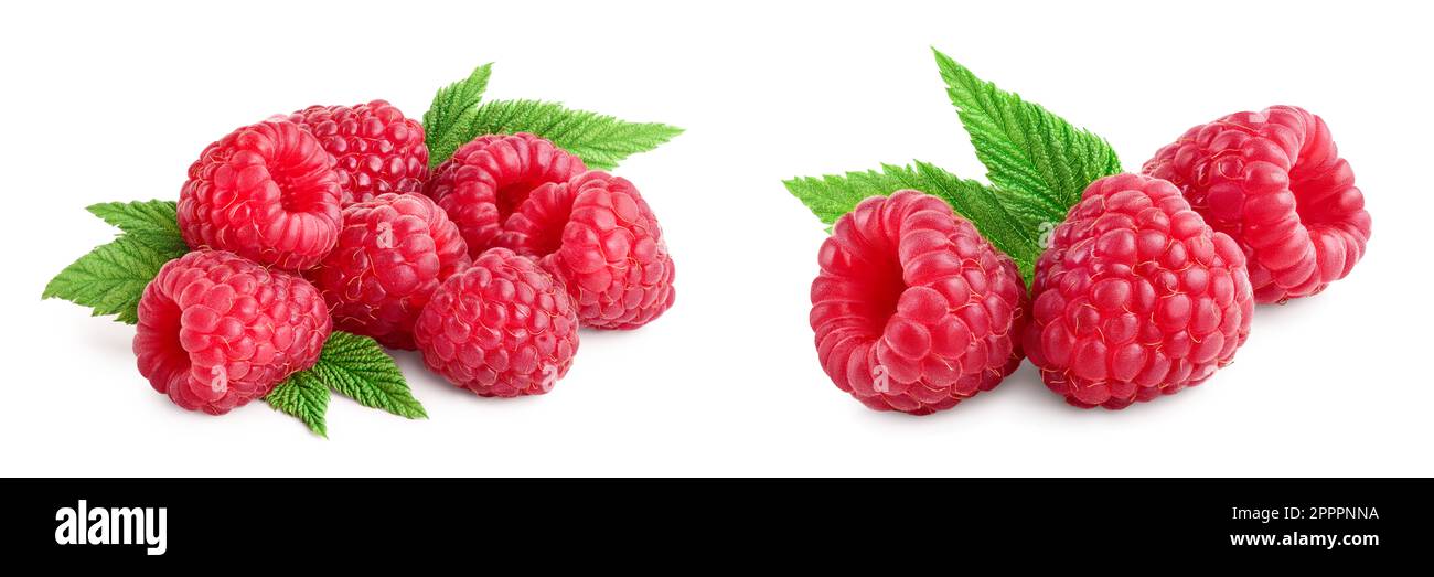 Ripe raspberries with leaf isolated on a white background Stock Photo ...
