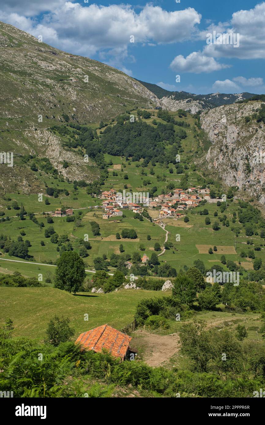 The famous cheese green hi-res stock photography and images - Alamy