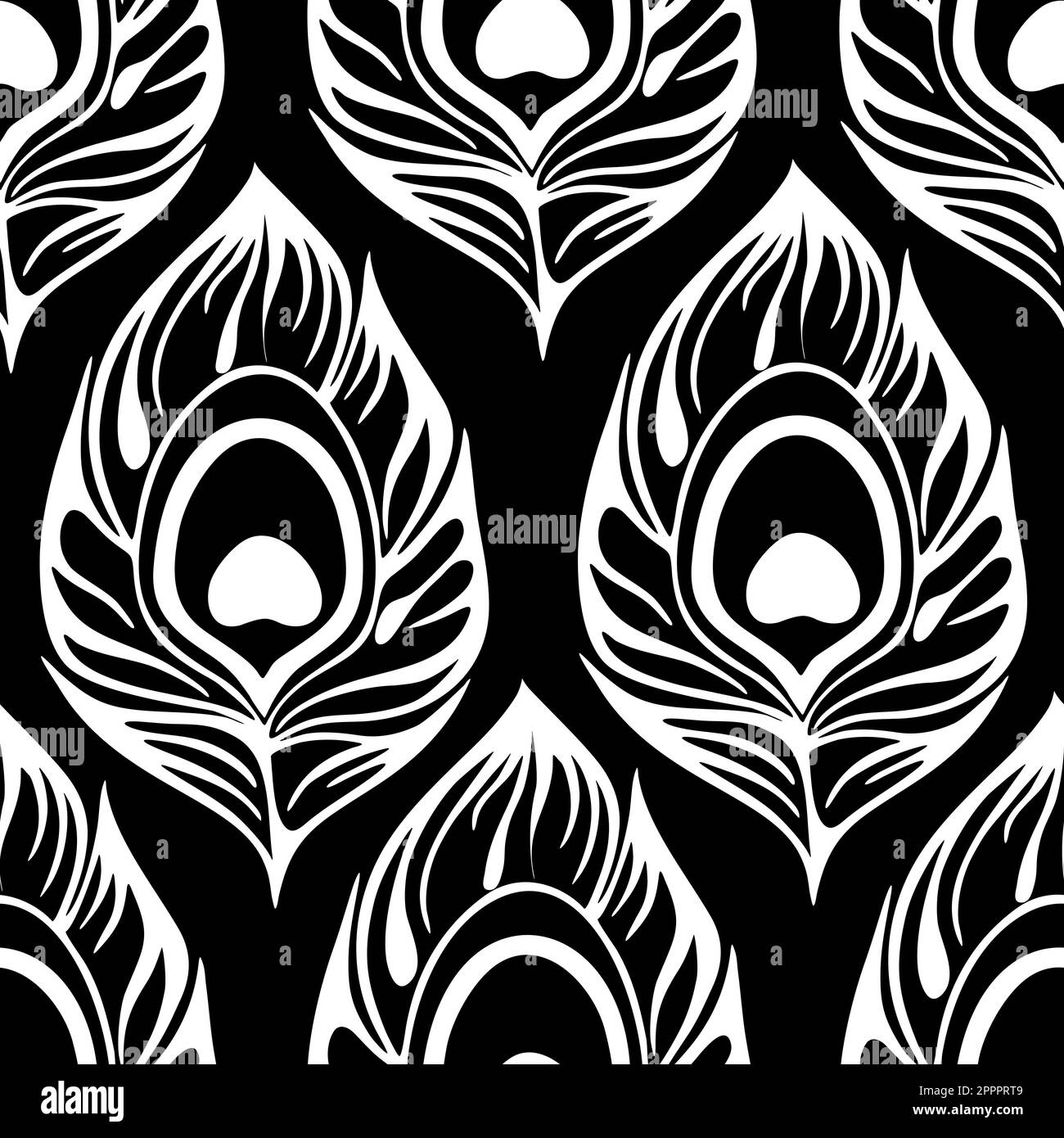 seamless contour pattern of white peacock feathers on a black ...