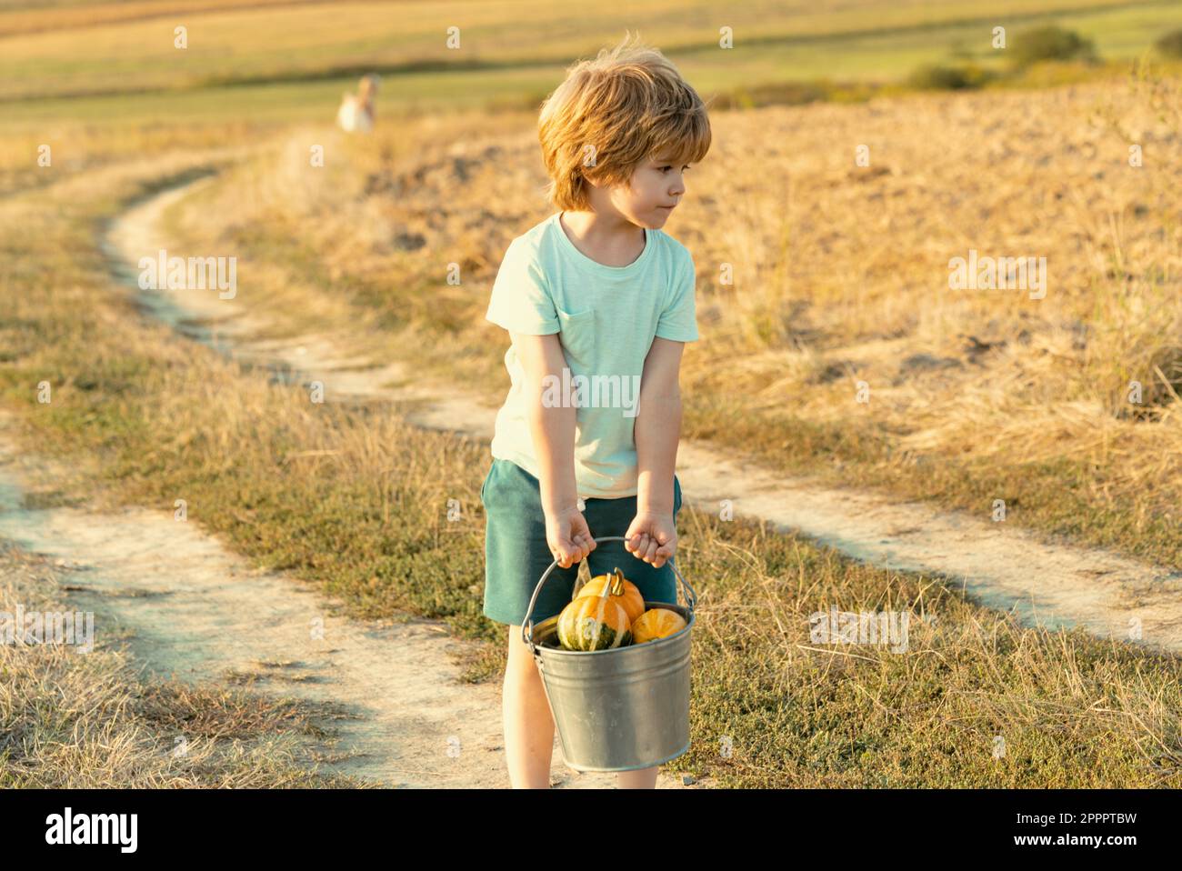 Cute toddler boy working on farm outdoors. Child farmer in the farm ...