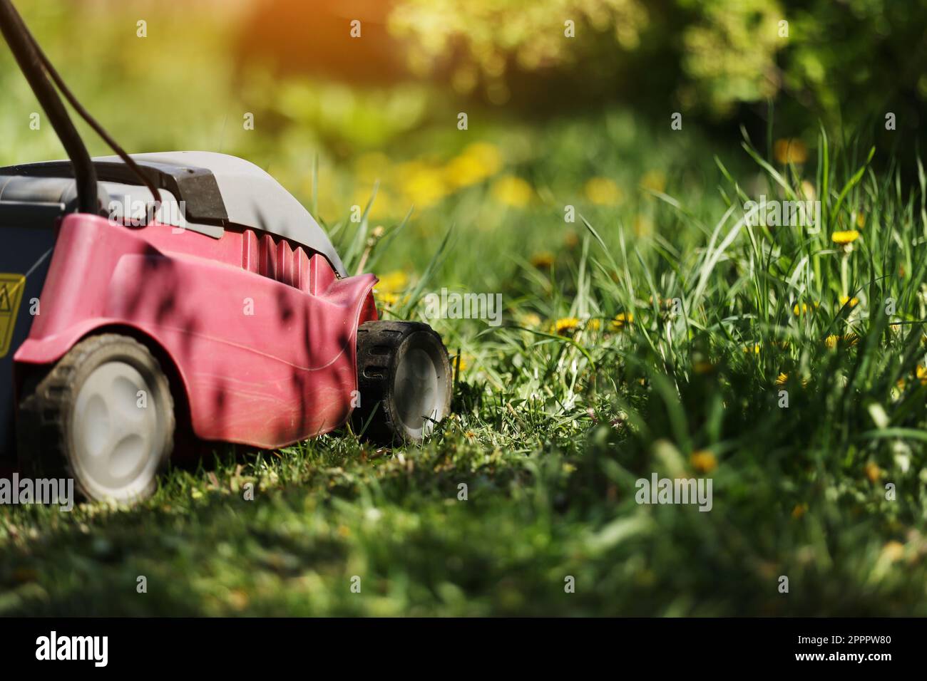 Hand electric red Lawnmower during the first mowing of a green fresh ...