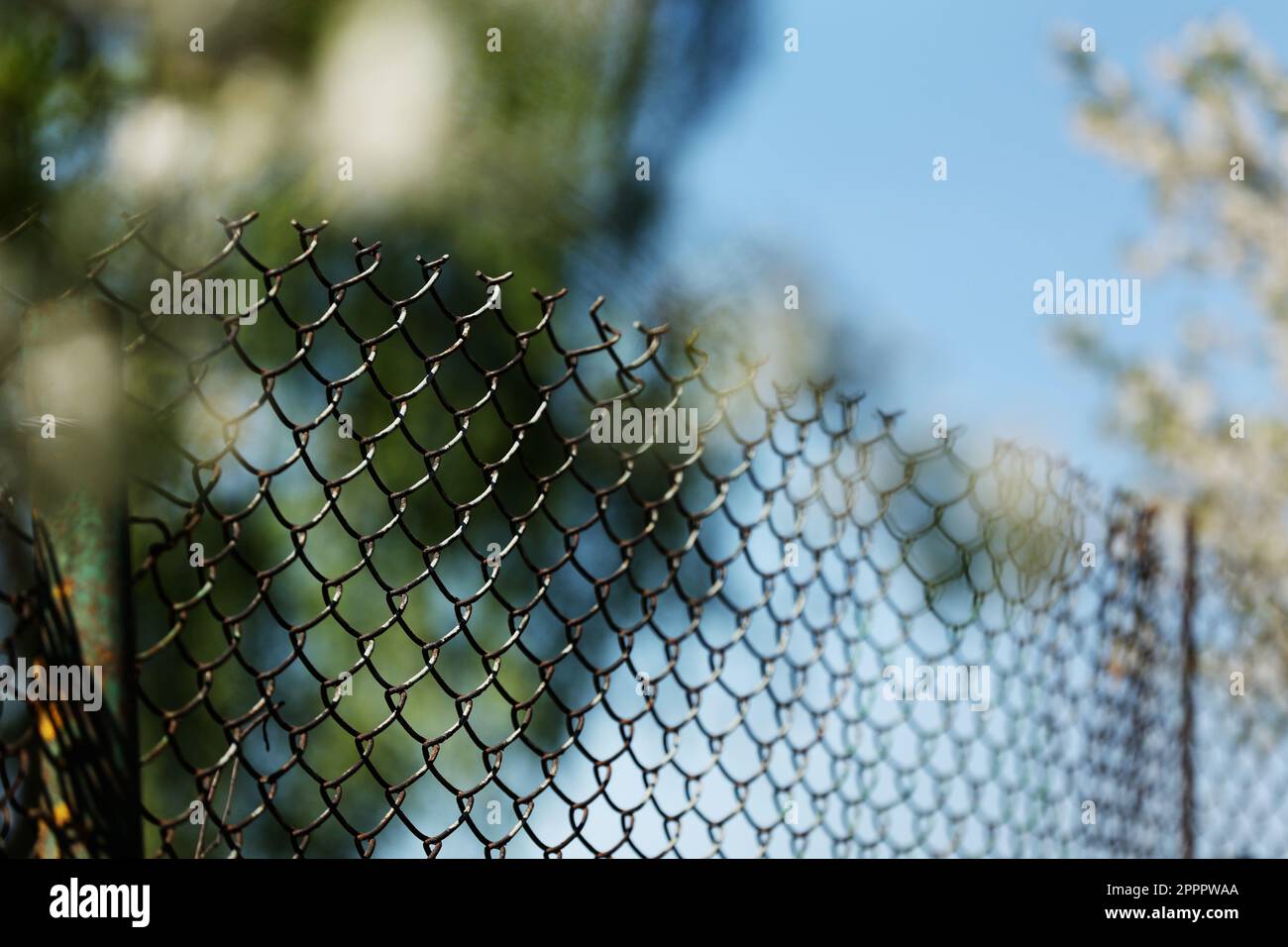 Rusty old mesh cage in garden with green trees and blue sky as ...