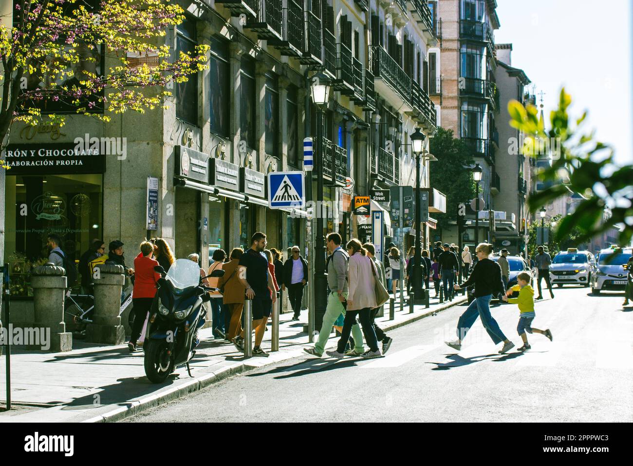 Zebra cro hi-res stock photography and images - Alamy