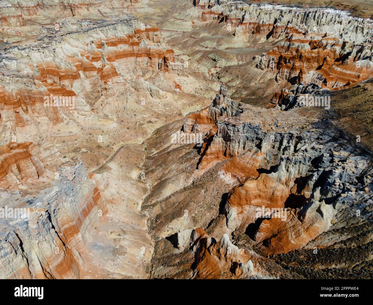 Photograph of Coalmine Canyon, an area of eroded clay hoodoos and ...