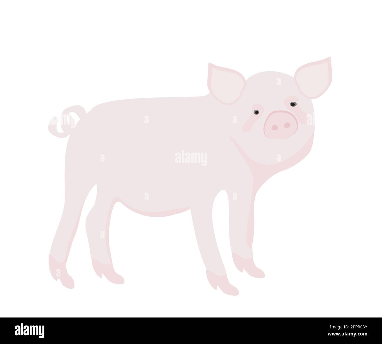 Cartoon pig. Vector illustration Stock Vector Image & Art - Alamy