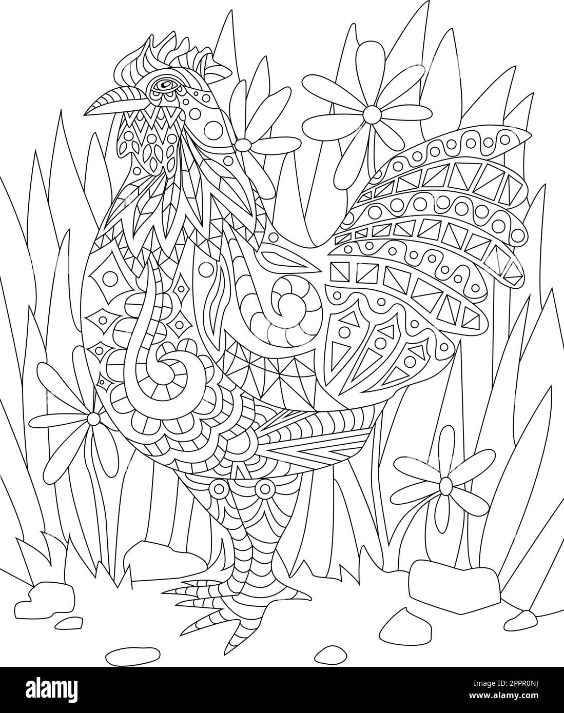 Asymmetrical unequal shaped form format of colourful thing object ...