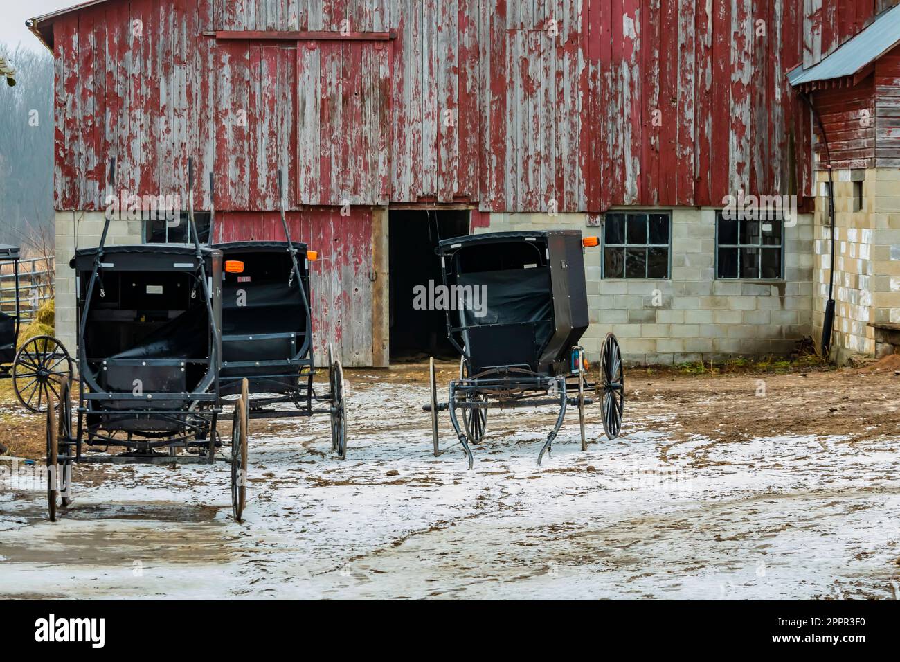Buggies parked outside a barn in an Amish community in Central Michigan ...