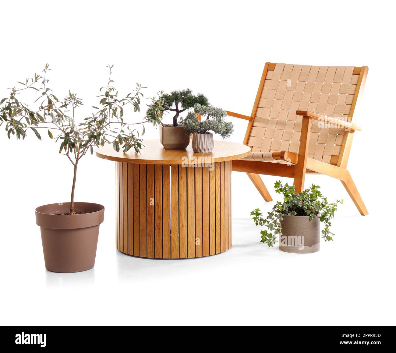 Coffee table with houseplants and armchair isolated on white background ...