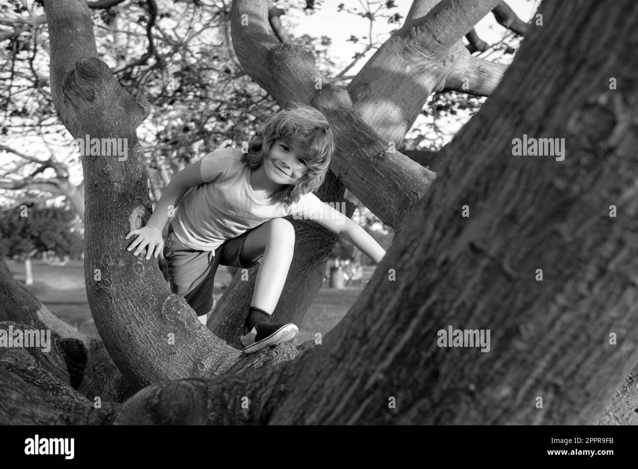Kids sitting on the branch Black and White Stock Photos & Images - Alamy