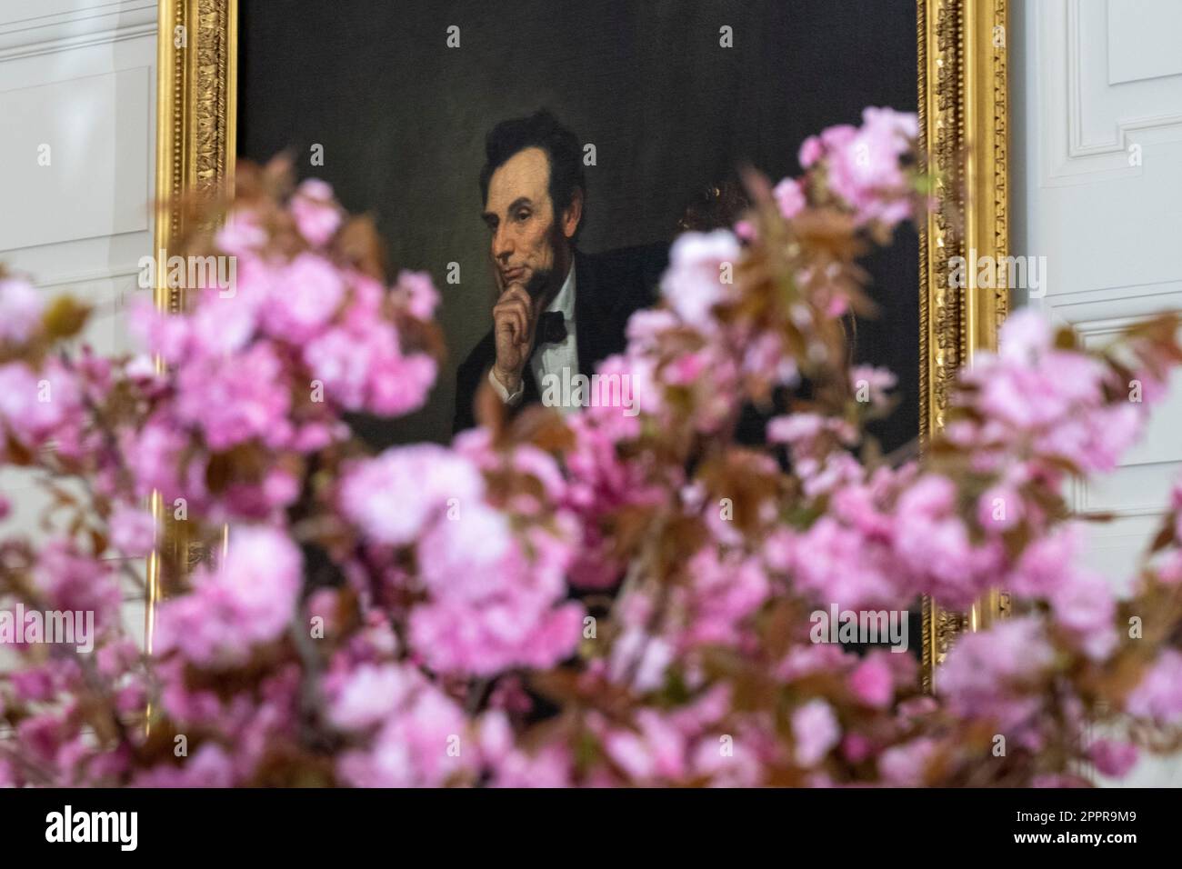 Washington, United States. 24th Apr, 2023. Peonies, Orchids, Cherry ...