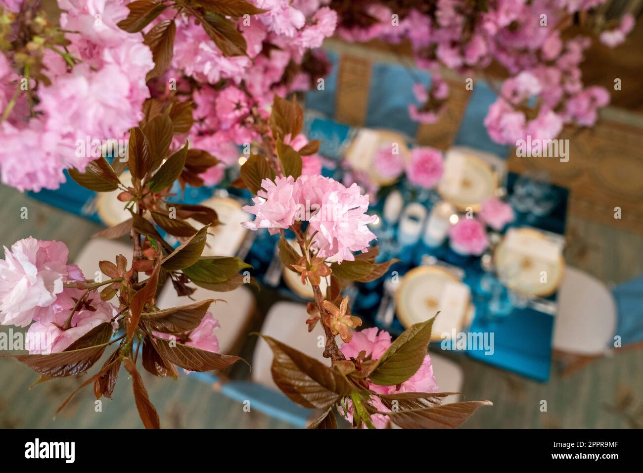 Washington, United States. 24th Apr, 2023. Peonies, Orchids, Cherry ...