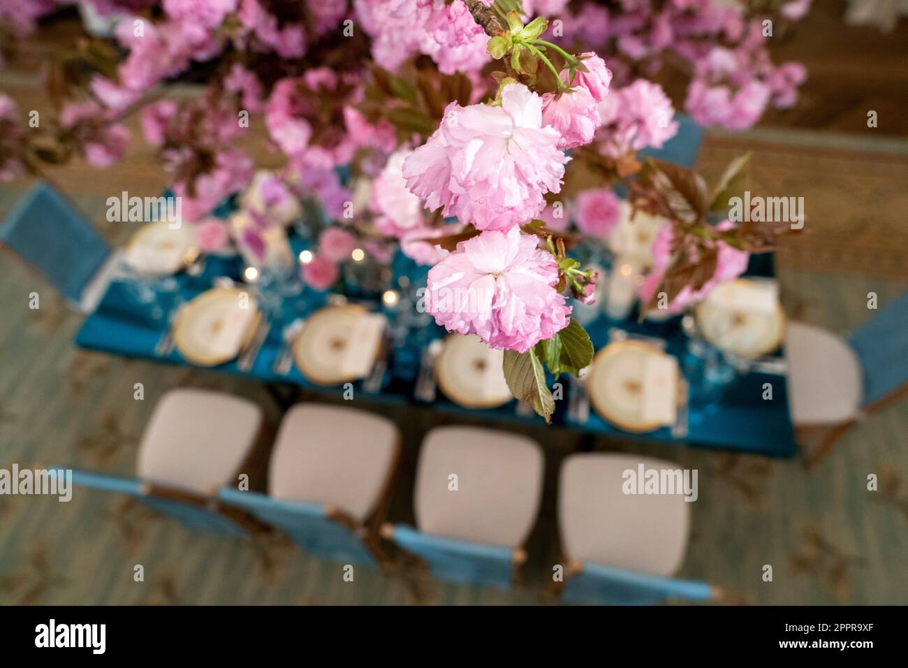 Washington, United States. 24th Apr, 2023. Peonies, Orchids, Cherry ...