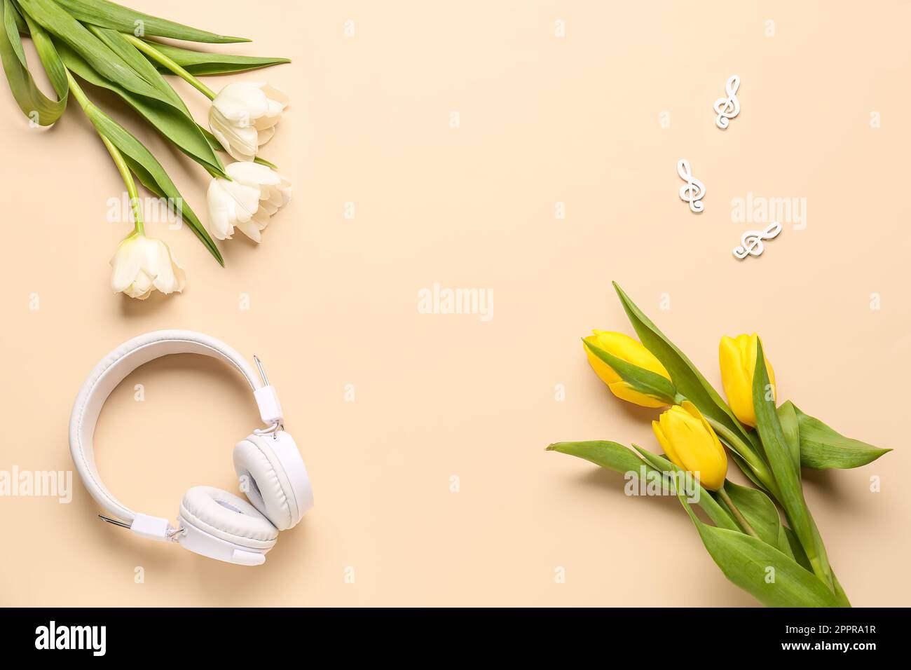 Composition with modern headphones, music notes and beautiful tulip ...