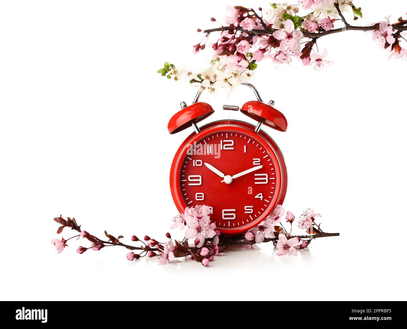 Blooming spring branches and alarm clock on white background Stock ...