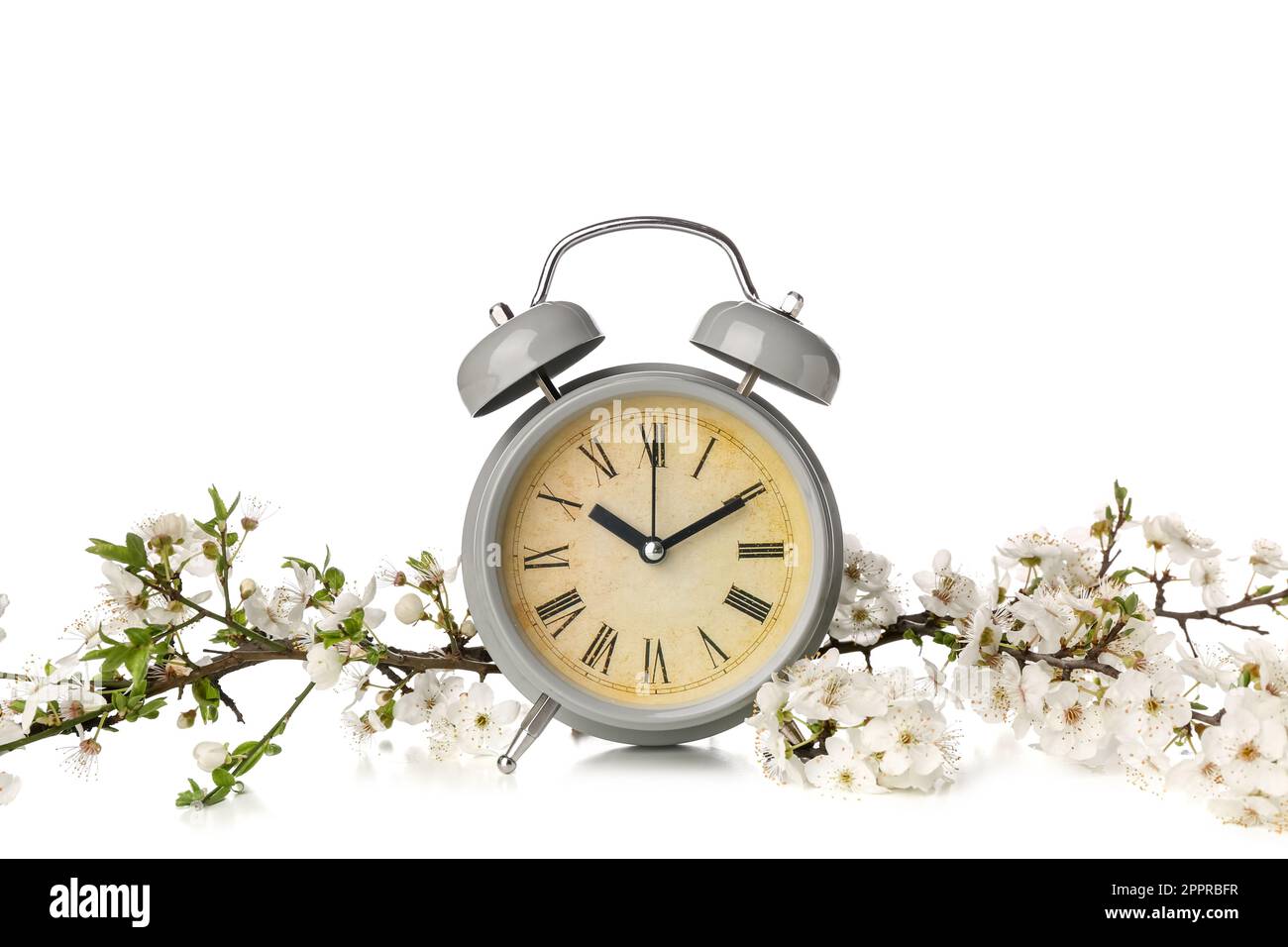 Blooming spring branches and alarm clock on white background Stock ...