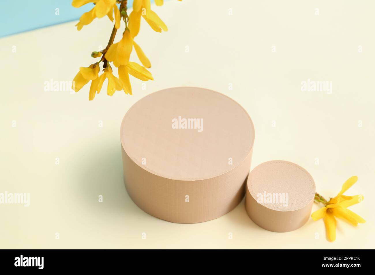 Decorative podiums and beautiful flowers on light background Stock ...