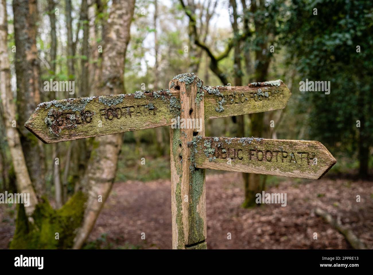 Public footpath signage, Sign posts in the forest Stock Photo - Alamy
