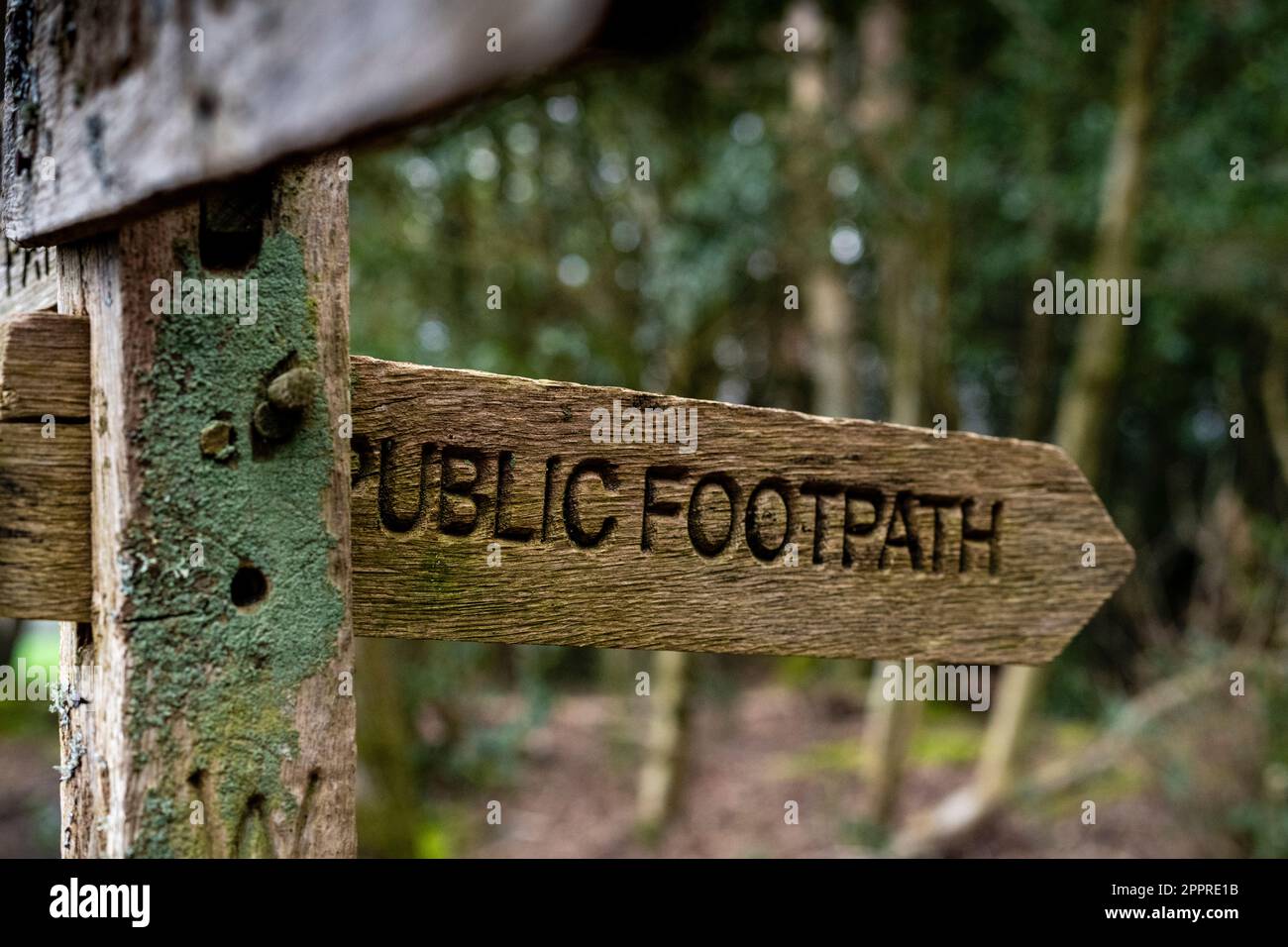 Public footpath signage, Sign posts in the forest Stock Photo - Alamy