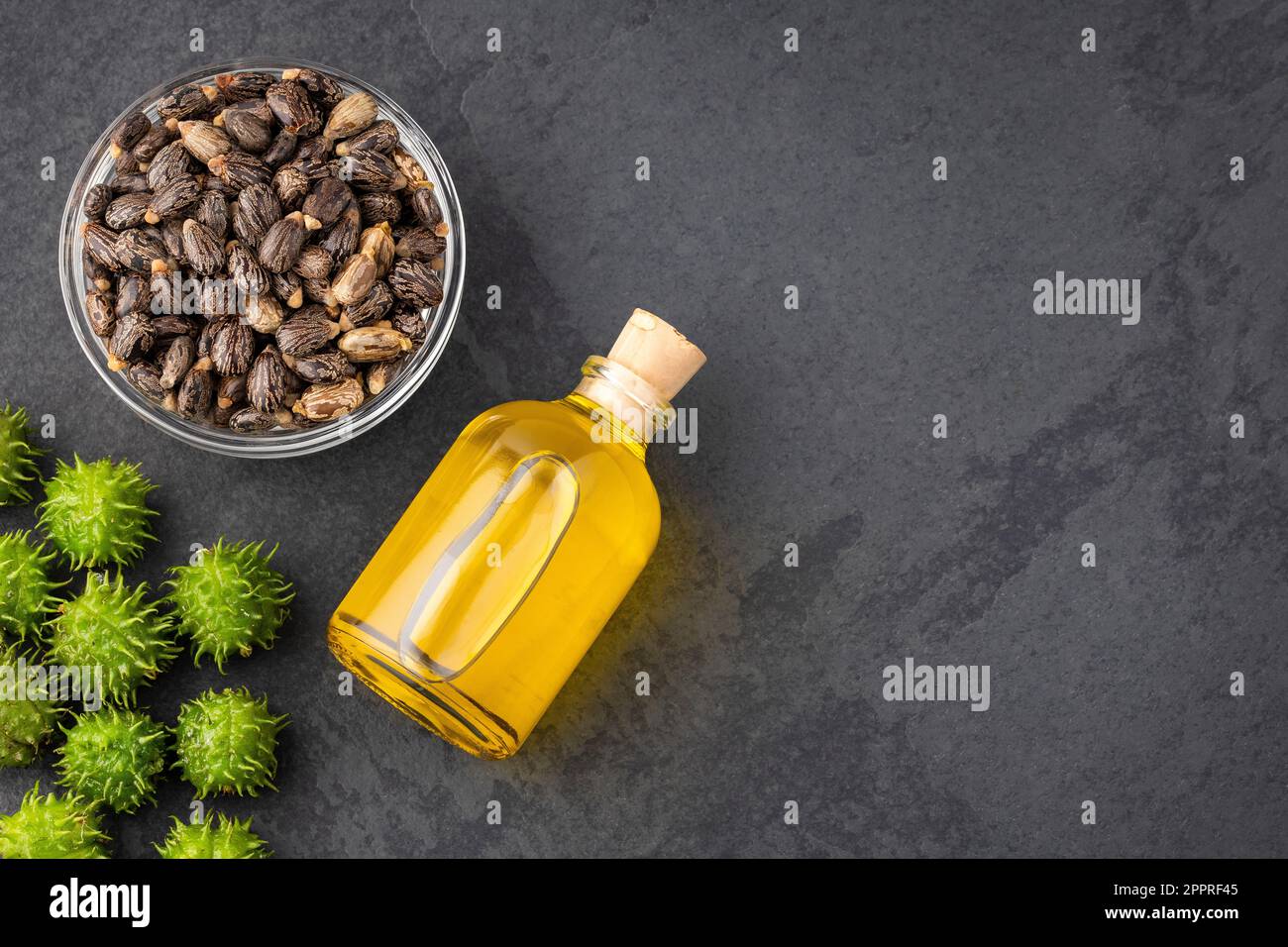 Oil, seeds and fruits of Ricinus communis - Medicinal product Stock ...