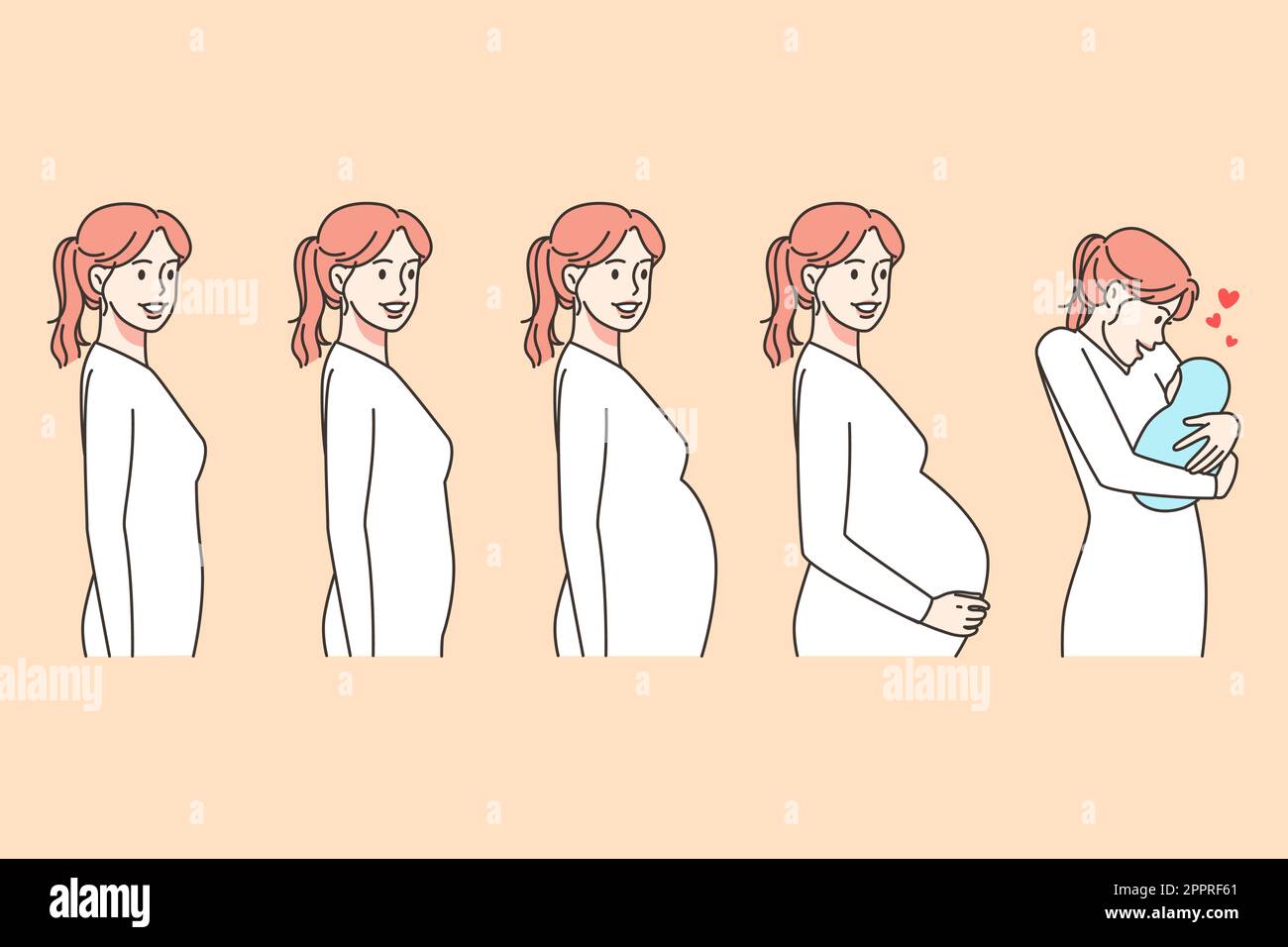 Female stages of life Stock Vector Images - Alamy
