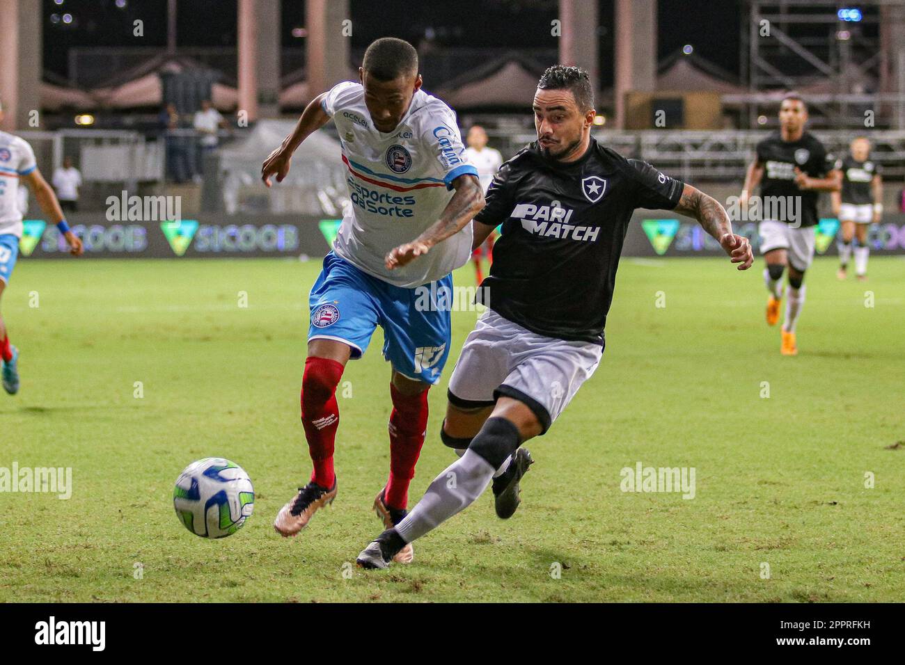 Ba - Salvador - 04 24 2023 - Brasileiro A 2023, Bahia X Botafogo 
