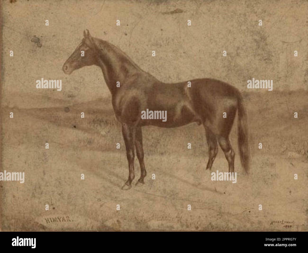 Himyar hi-res stock photography and images - Alamy