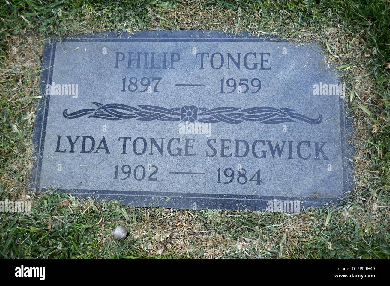 Philip tongue hi-res stock photography and images - Alamy