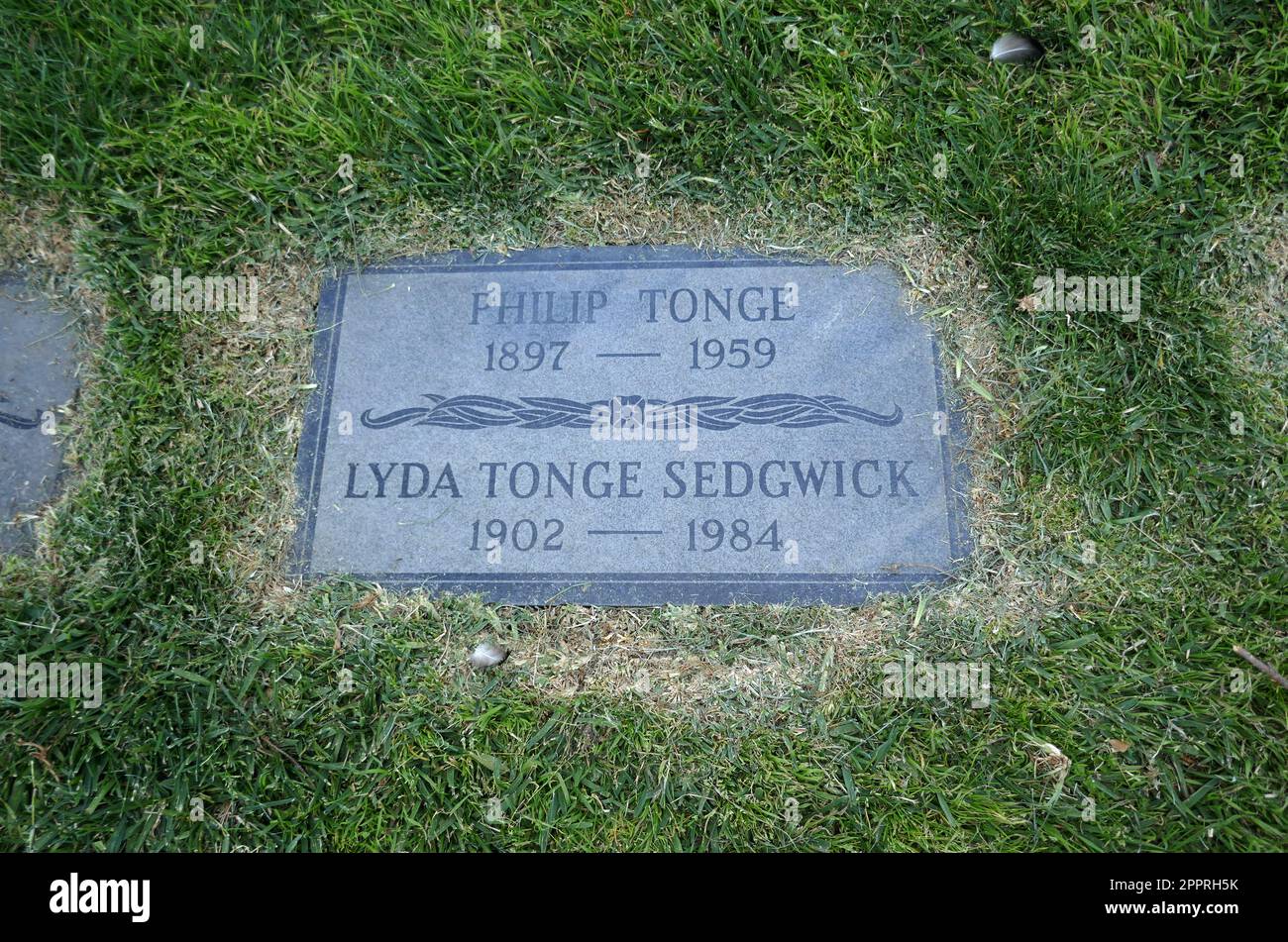 Philip tongue hi-res stock photography and images - Alamy