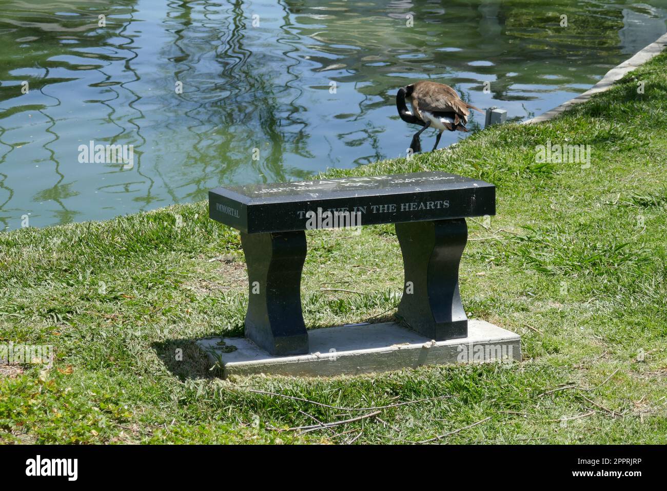 Los Angeles, California, USA 20th April 2023 Actor Steve Wayne and ...