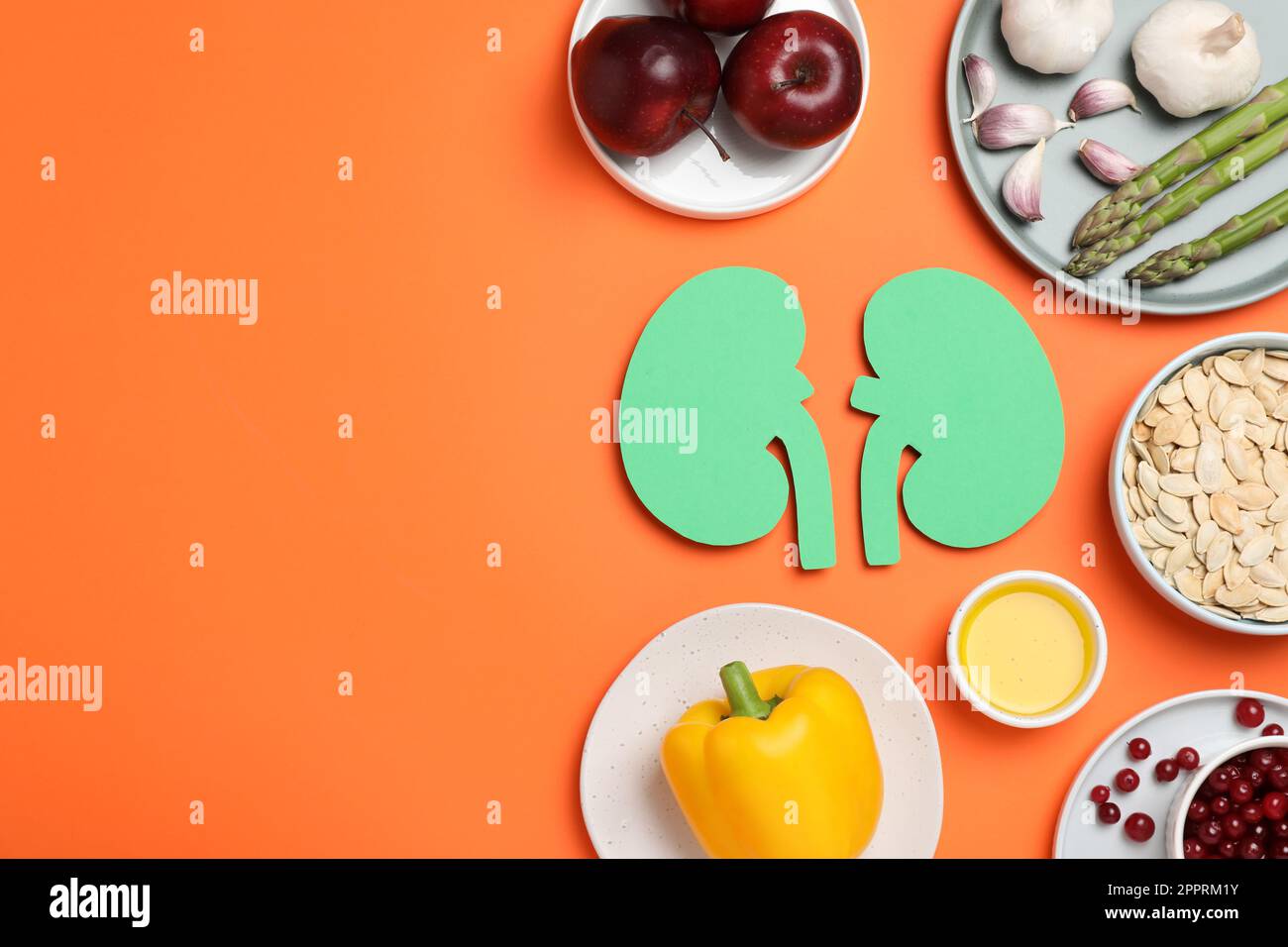 Paper cutout of kidneys and different healthy products on orange ...