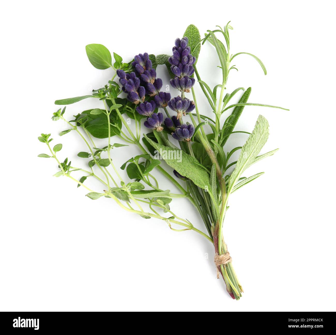 Bunch of fresh aromatic herbs on white background, top view Stock Photo ...