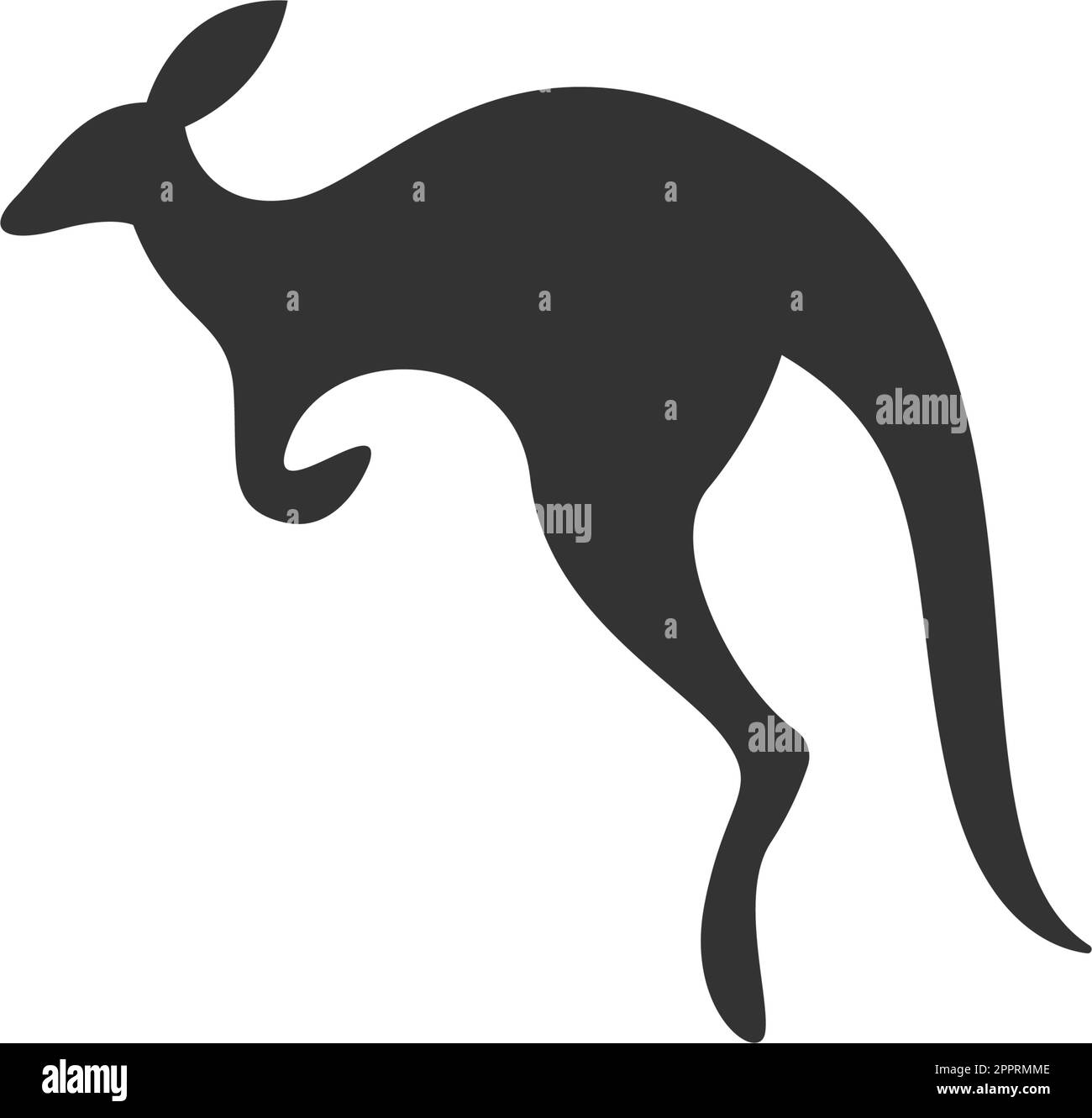 Kangaroos marsupial Cut Out Stock Images & Pictures - Alamy