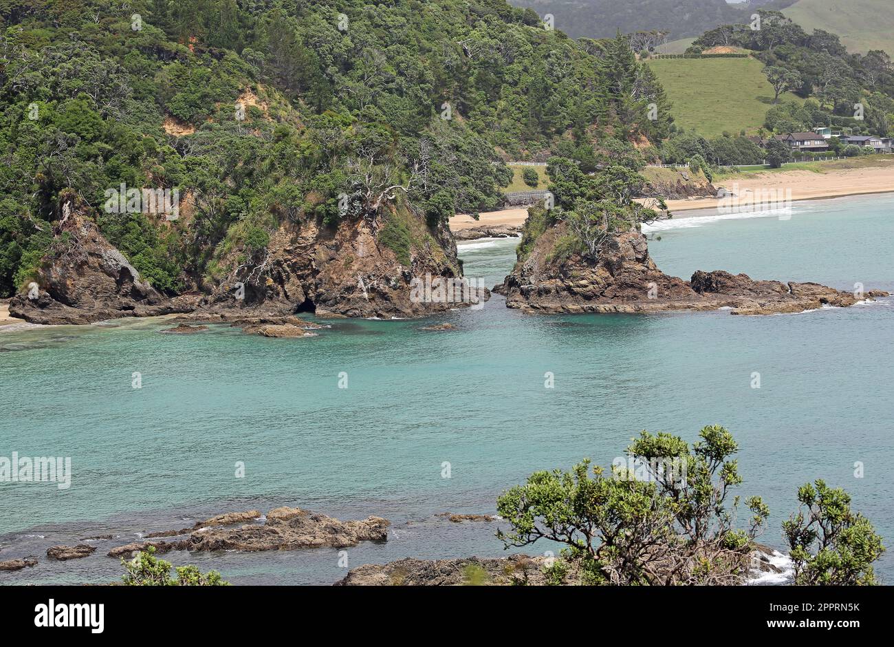Sandy bay new zealand hi-res stock photography and images - Alamy