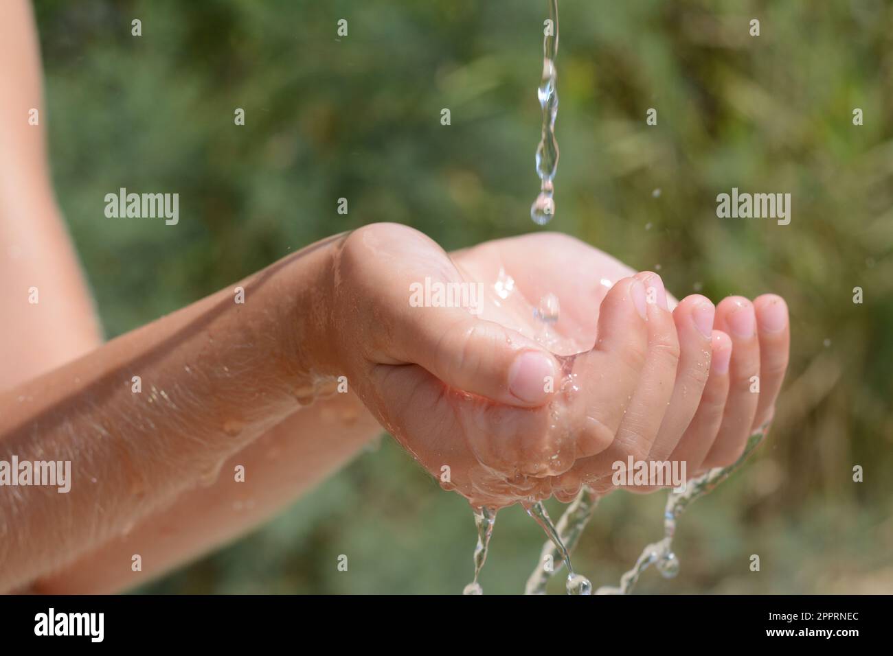 Pouring water into kid`s hands outdoors, closeup Stock Photo - Alamy