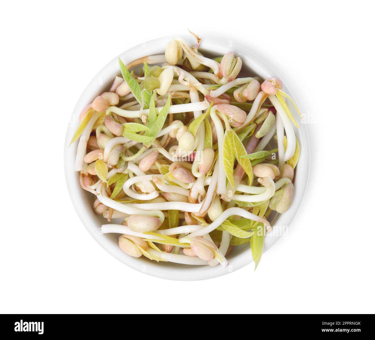 Mung bean sprouts in plate isolated on white, top view Stock Photo - Alamy