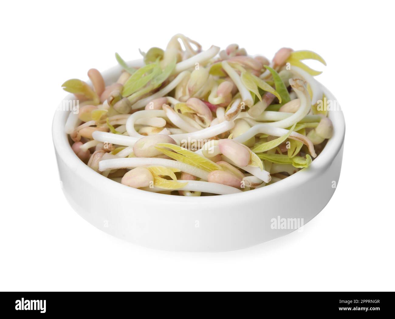 Mung bean sprouts in Cut Out Stock Images & Pictures - Alamy