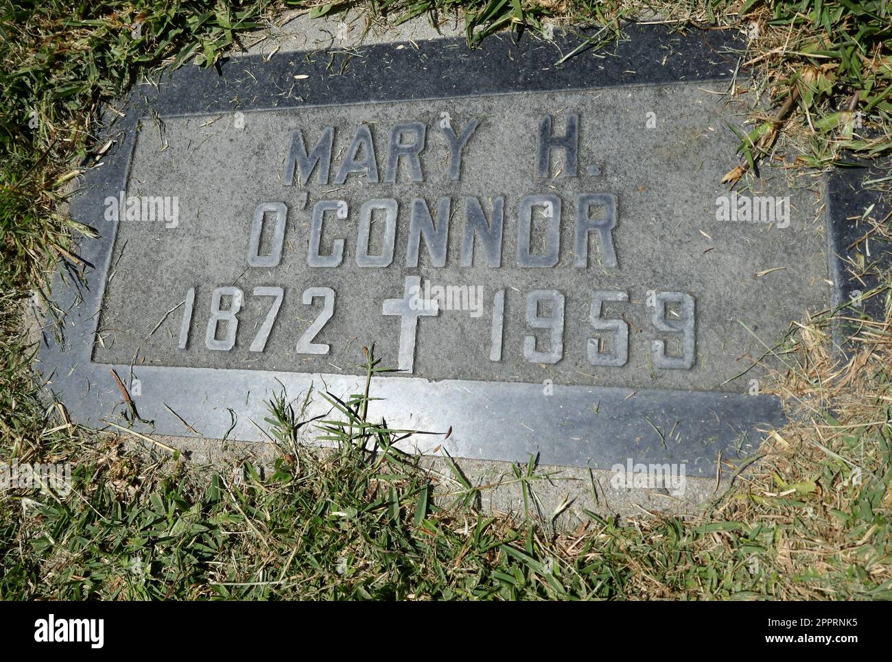 Los Angeles, California, USA 20th April 2023 Screenwriter Mary Hamilton ...