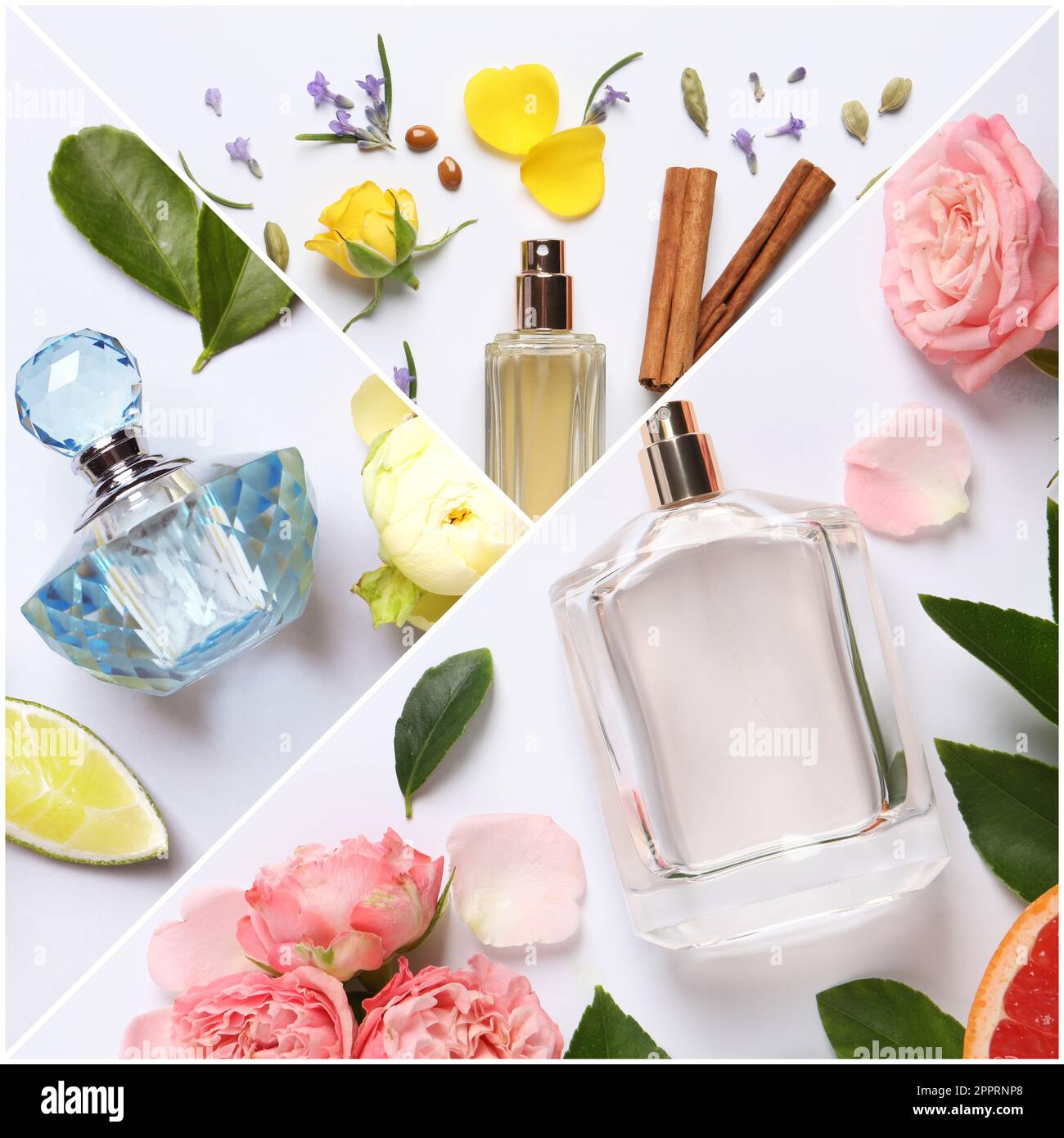 Beautiful collage with photos of luxury perfume and ingredients ...