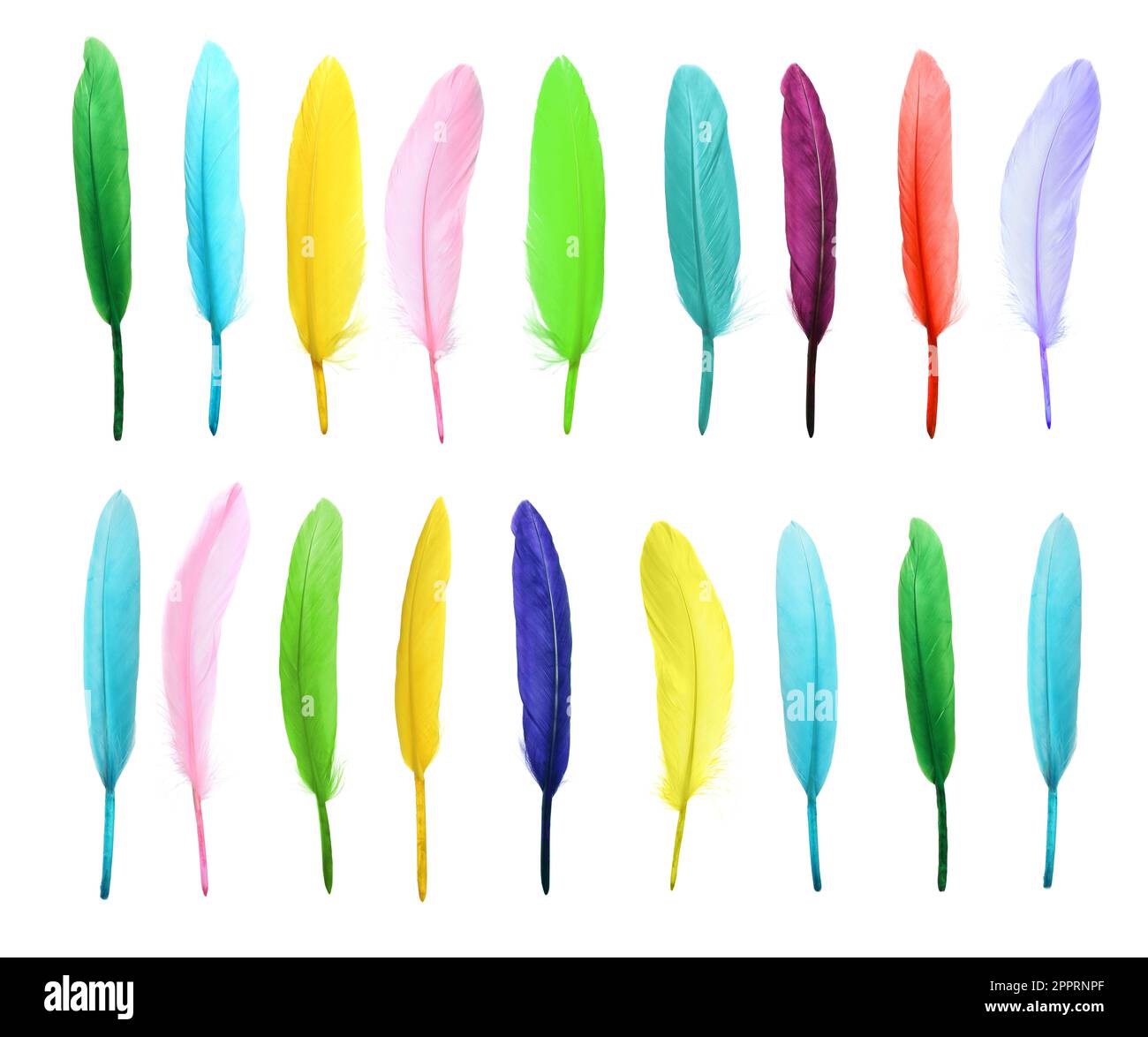 Set with different beautiful color feathers on white background Stock ...