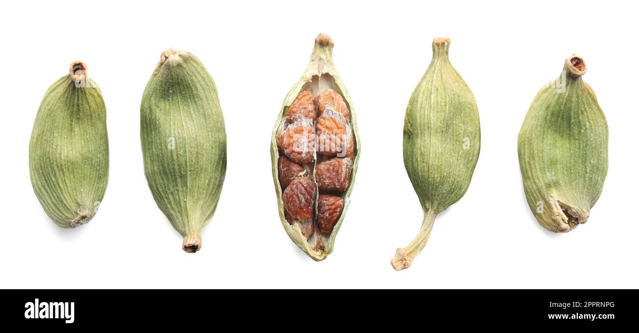 Set with green cardamom pods on white background. Banner design Stock ...