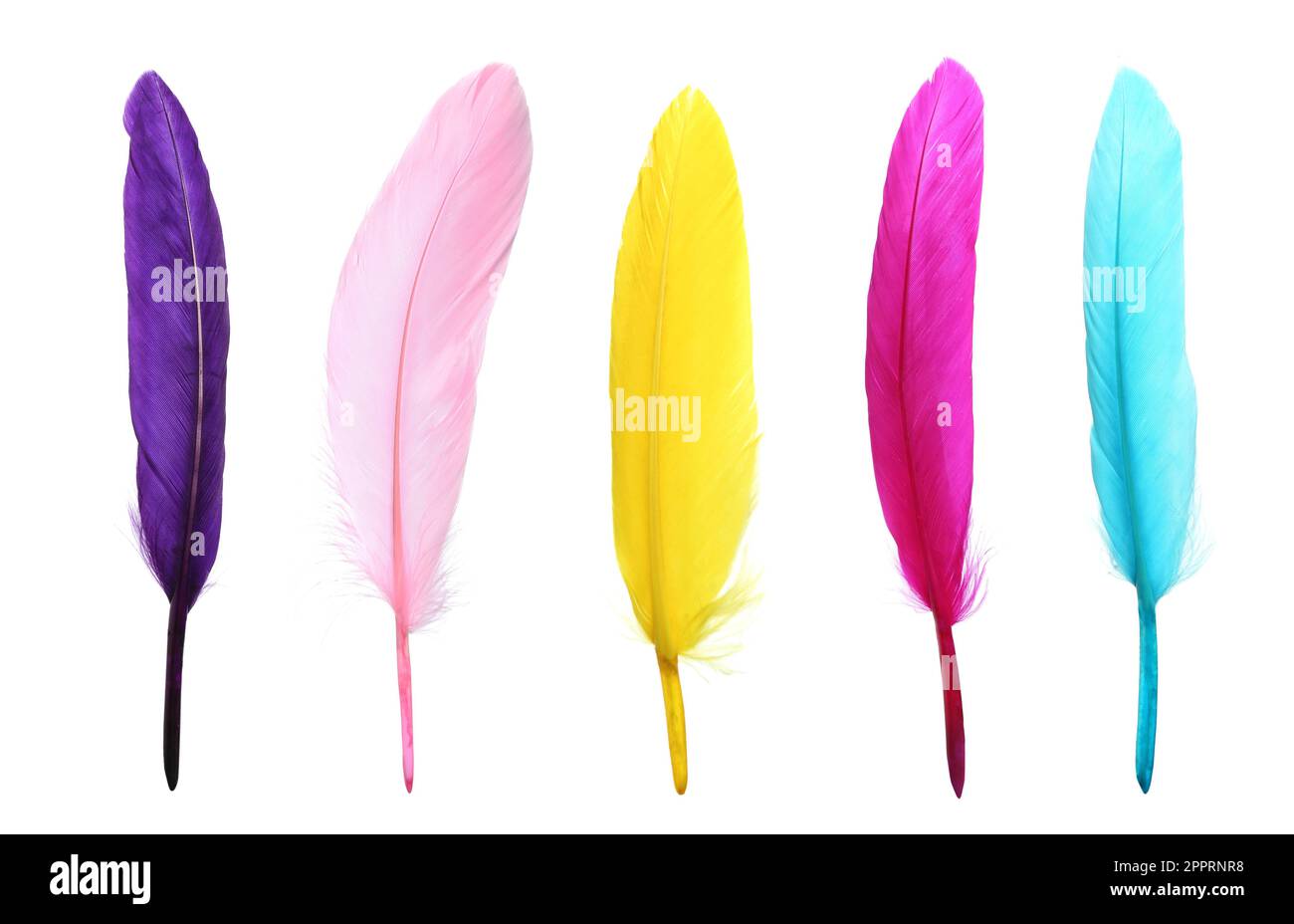 Set with different beautiful color feathers on white background Stock ...