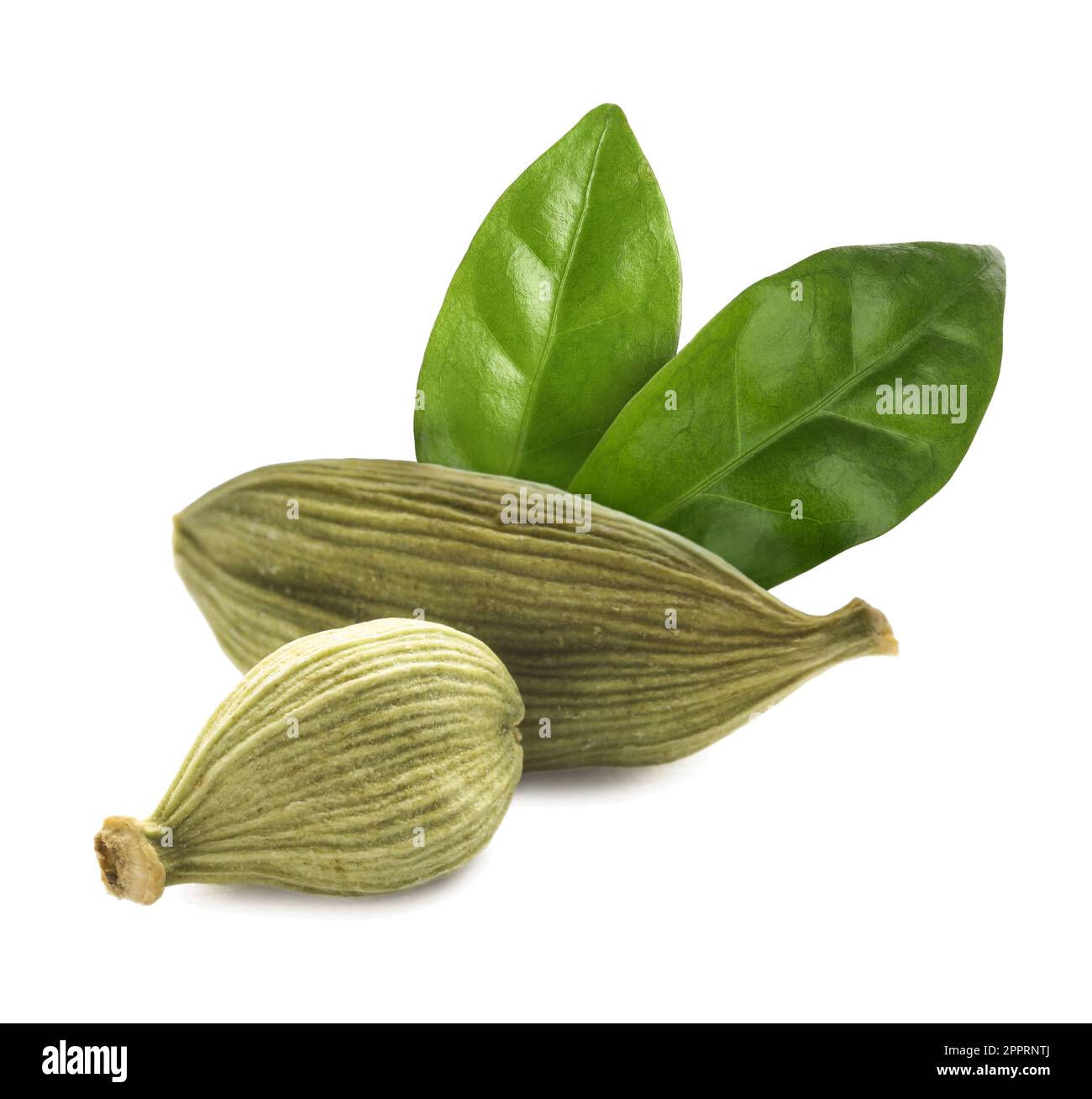 Dry cardamom pods and green leaves on white background Stock Photo - Alamy