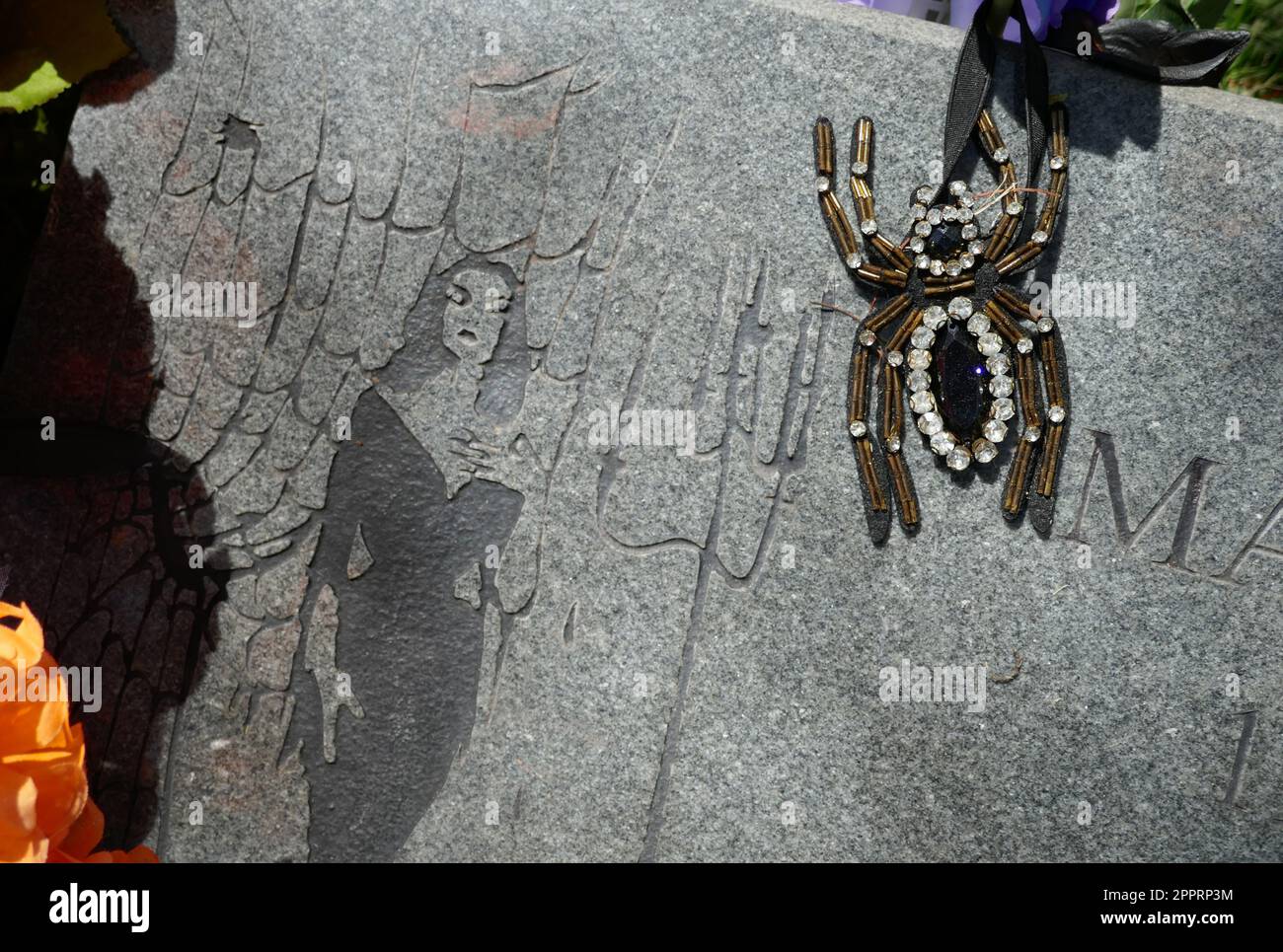 Spider rhinestones hi-res stock photography and images - Alamy