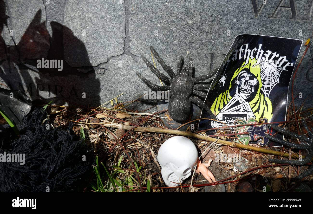 Spider rhinestones hi-res stock photography and images - Alamy